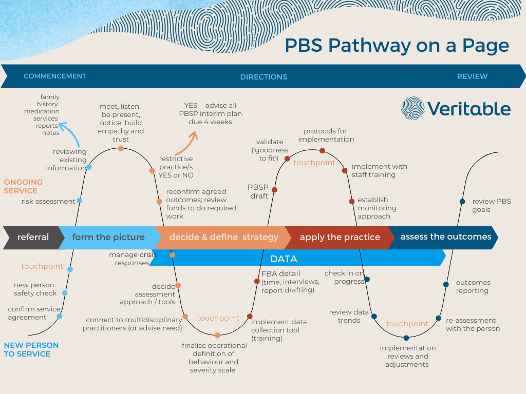 Behaviour Support – Strategy and Practice - Veritable