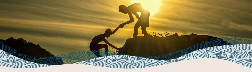 Practitioners - Veritable